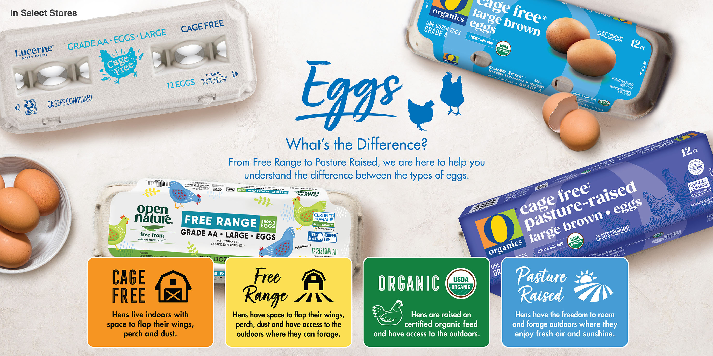 Shop for Dairy, Eggs & Cheese at your local randalls Online or In-Store